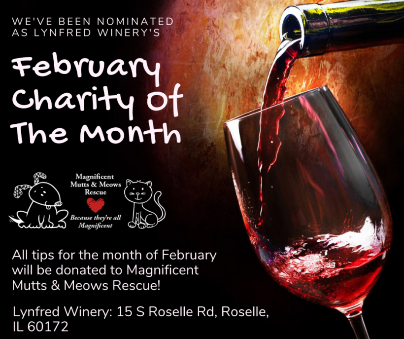 Namaste and Rose - Magnificent Mutts Rescue