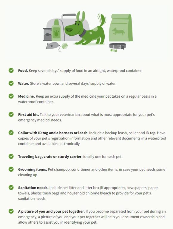Prepare Your Pets for Emergencies - Magnificent Mutts Rescue