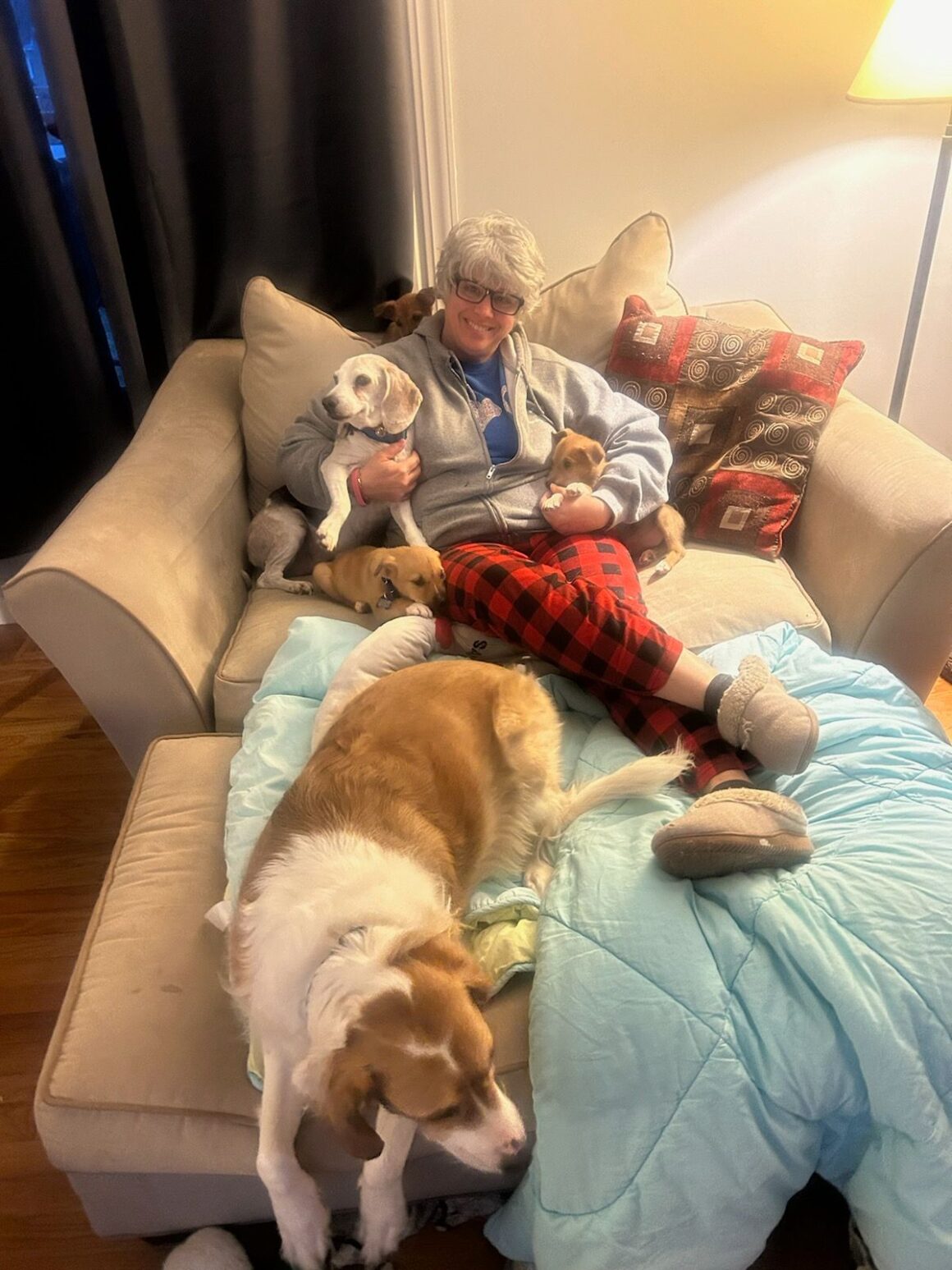 Someone You Should Know - Magnificent Mutts Rescue