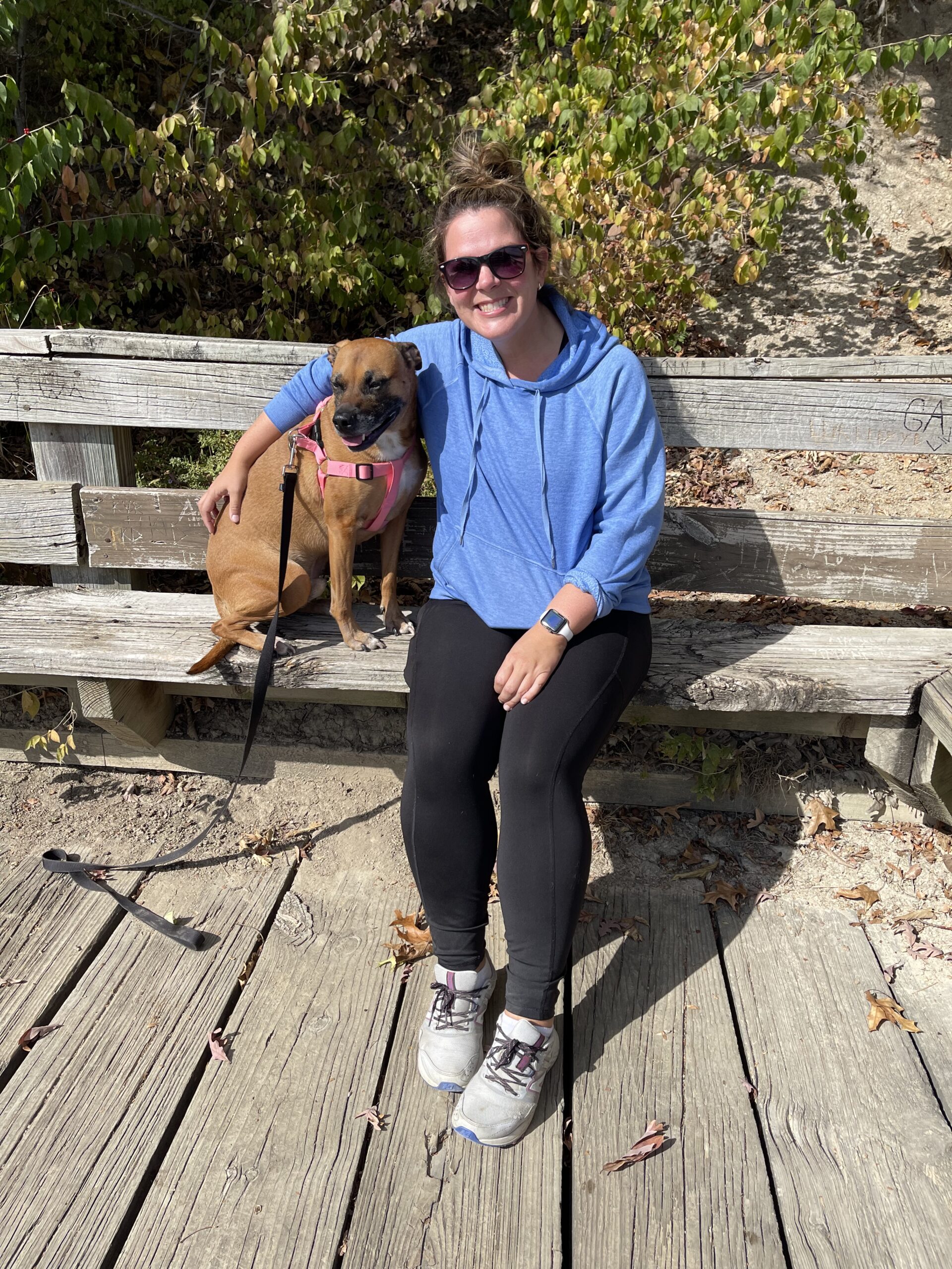 image4 (1) - Magnificent Mutts Rescue